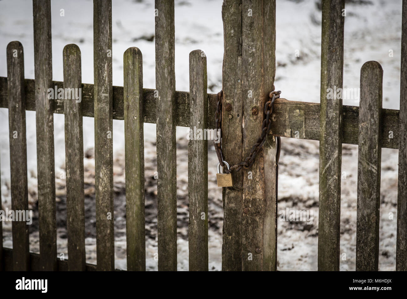 Padlocked wooden gate Stock Photo - Alamy
