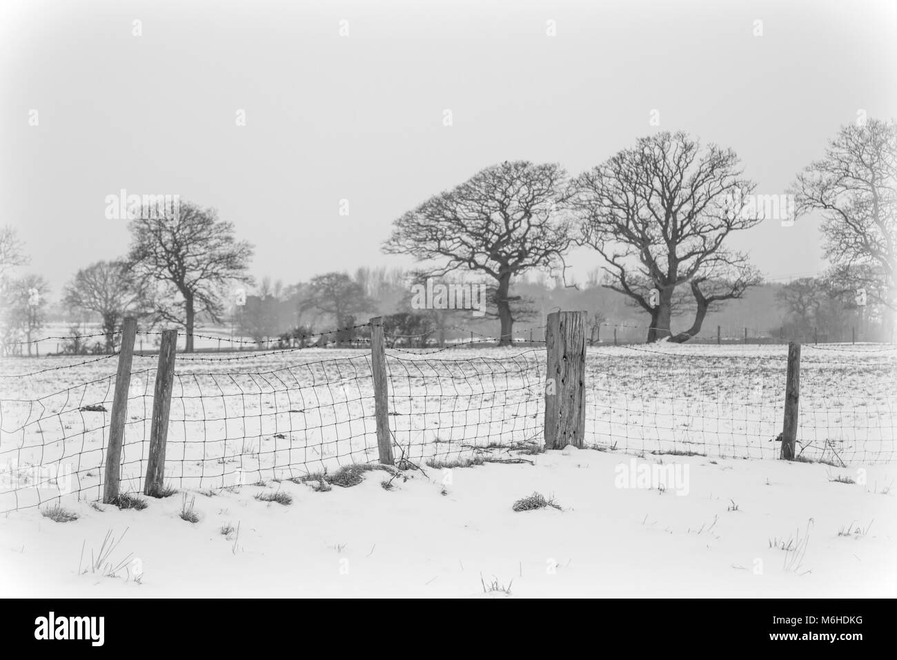 Edge of the snowfield Stock Photo - Alamy