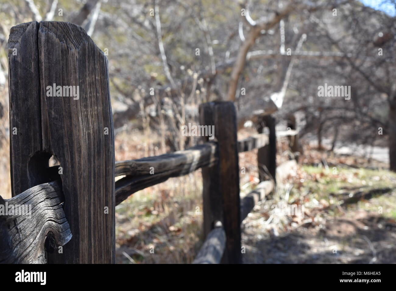 Wood boundry hi-res stock photography and images - Alamy