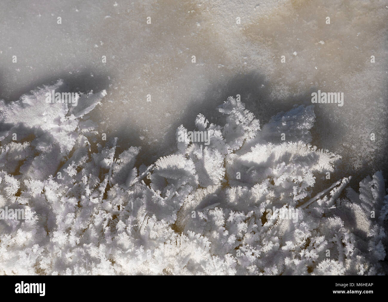 Beautiful frost pattern as ice flowers grown on ice surface with empty ...