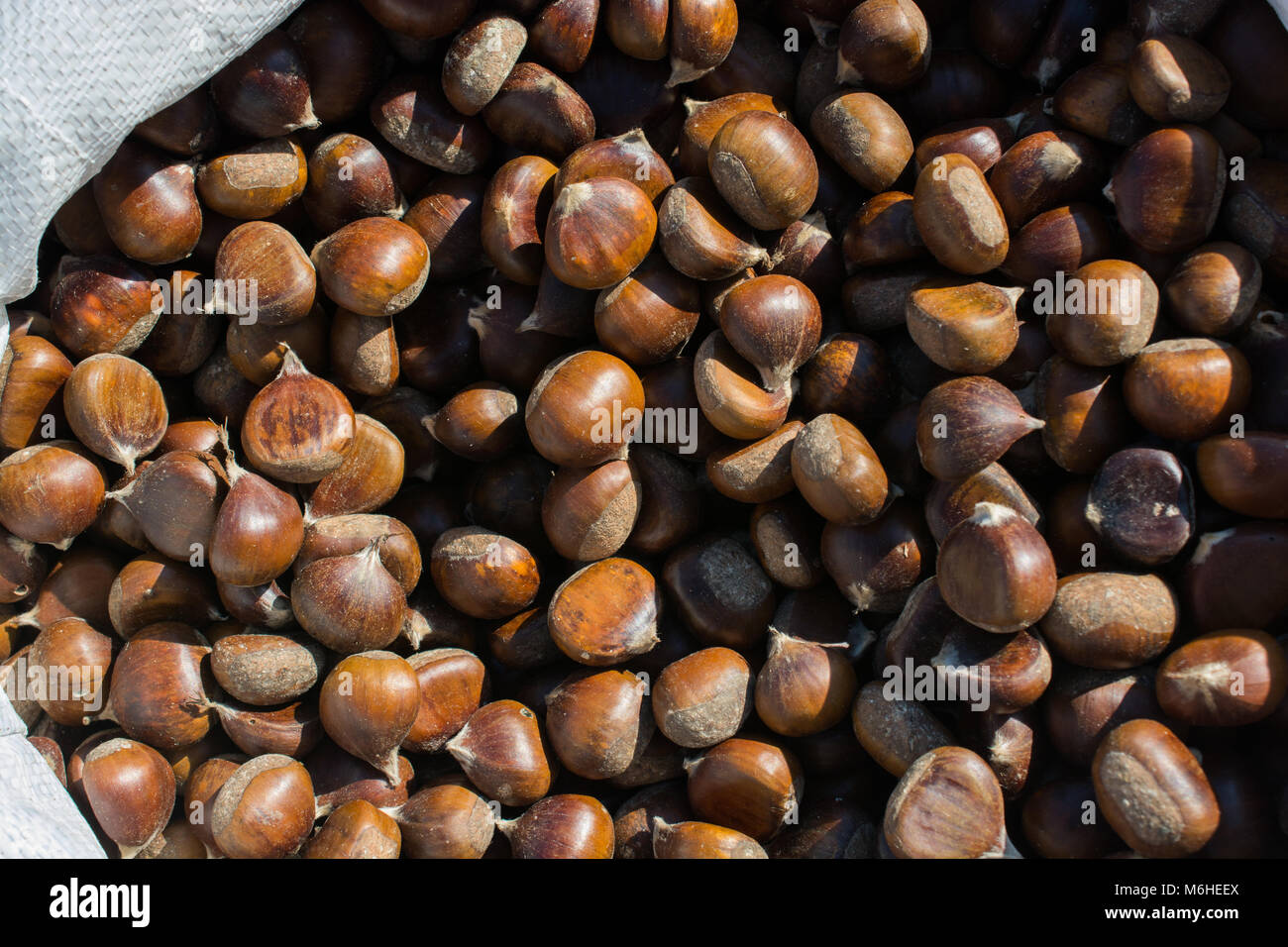 Raw fresh sweet chestnut for ready for sale Stock Photo - Alamy