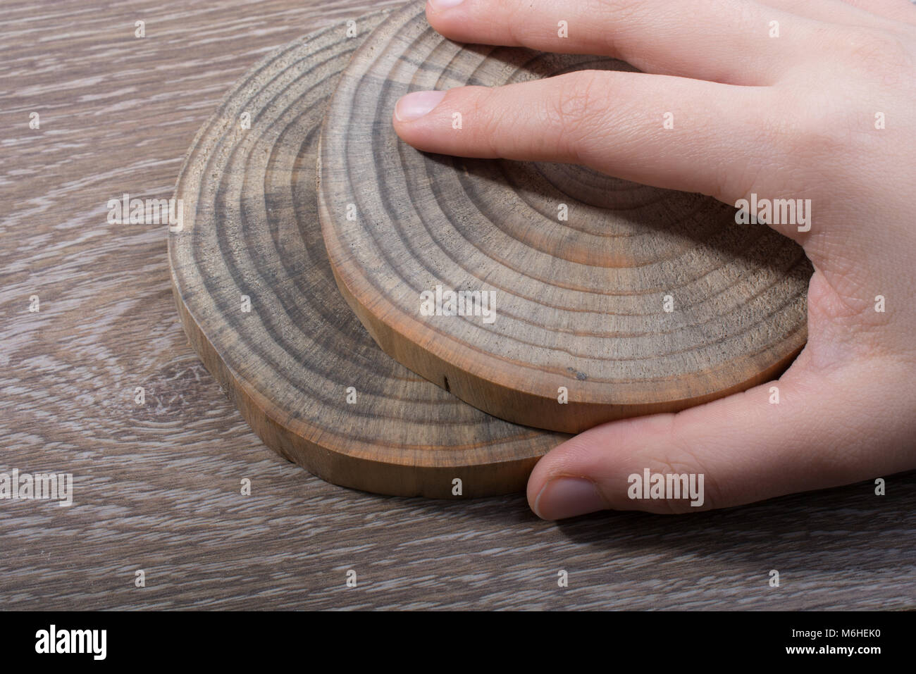 Small piece of cut wood log in hand background Stock Photo - Alamy