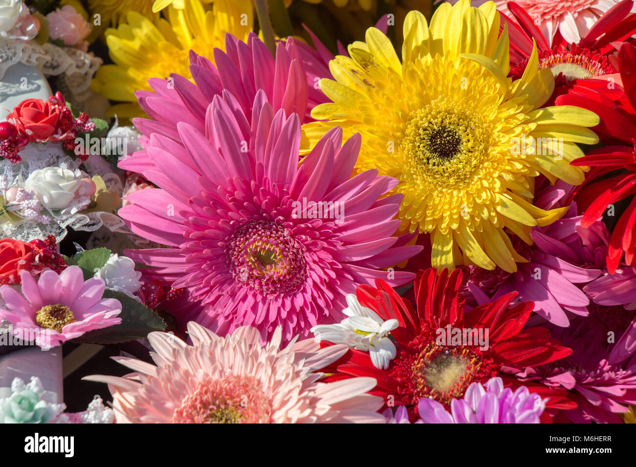 Beautiful colorful natural spring flowers as a nature background Stock ...