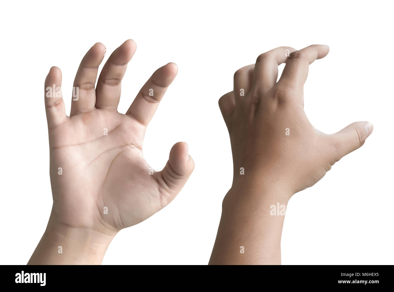 High resolution education concept Cut Out Stock Images & Pictures - Alamy