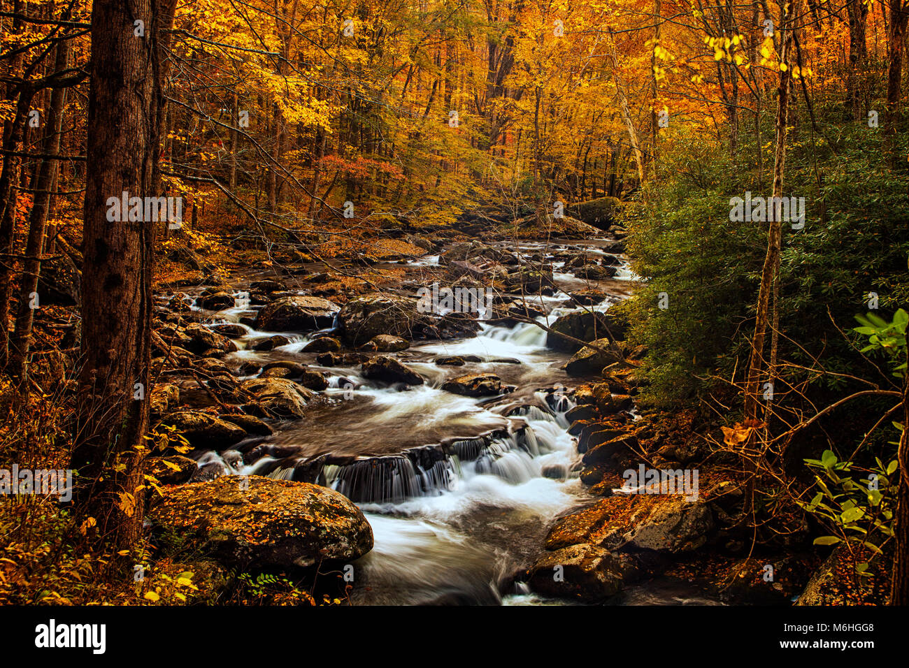 Great smoky mountains smokies hi-res stock photography and images - Alamy