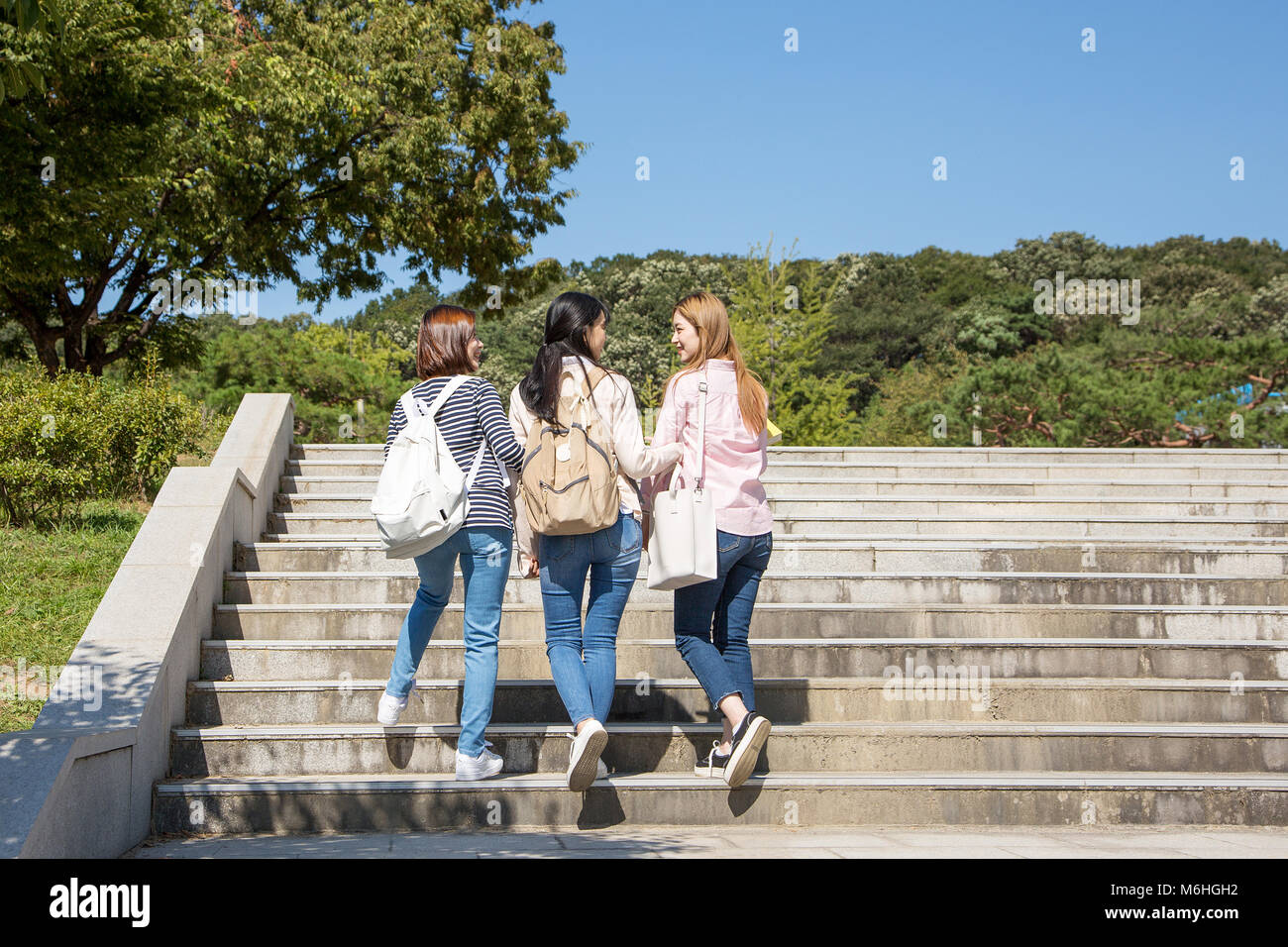 Campus life - freshmen enjoy theirs the campus life. young college ...