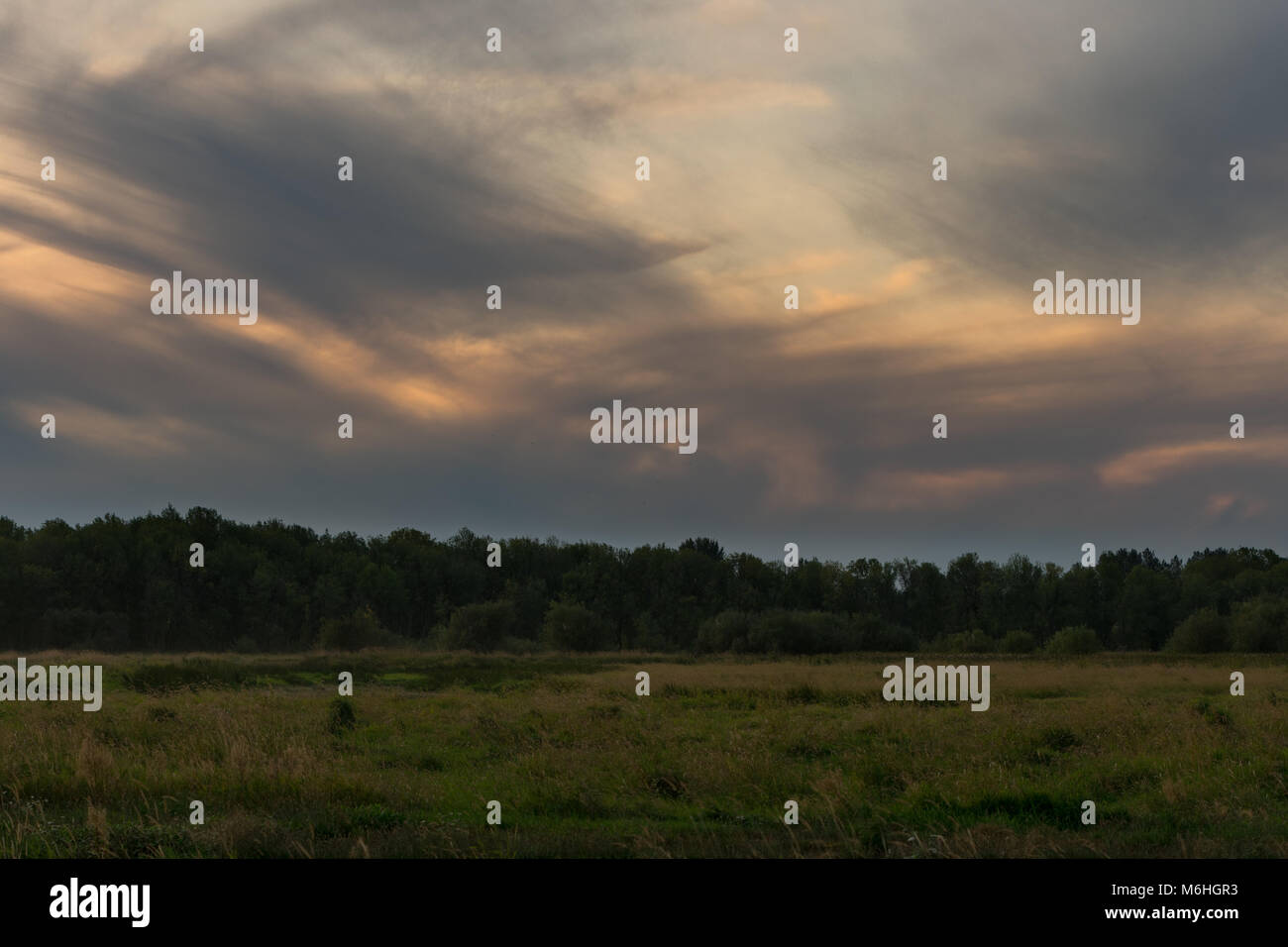 Refuge field hi-res stock photography and images - Alamy