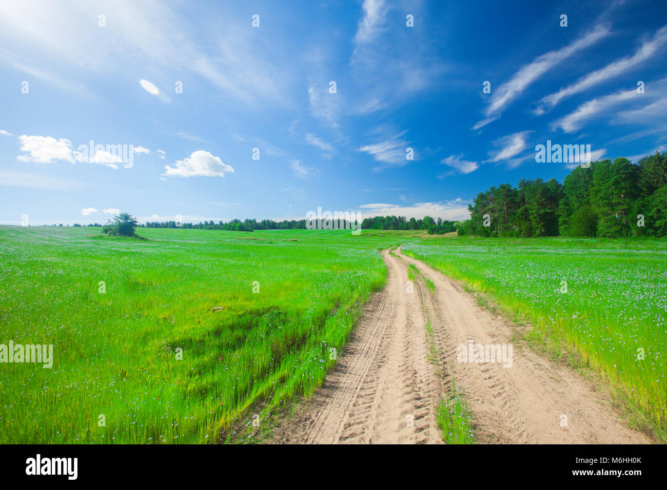 beautiful field and road Stock Photo - Alamy