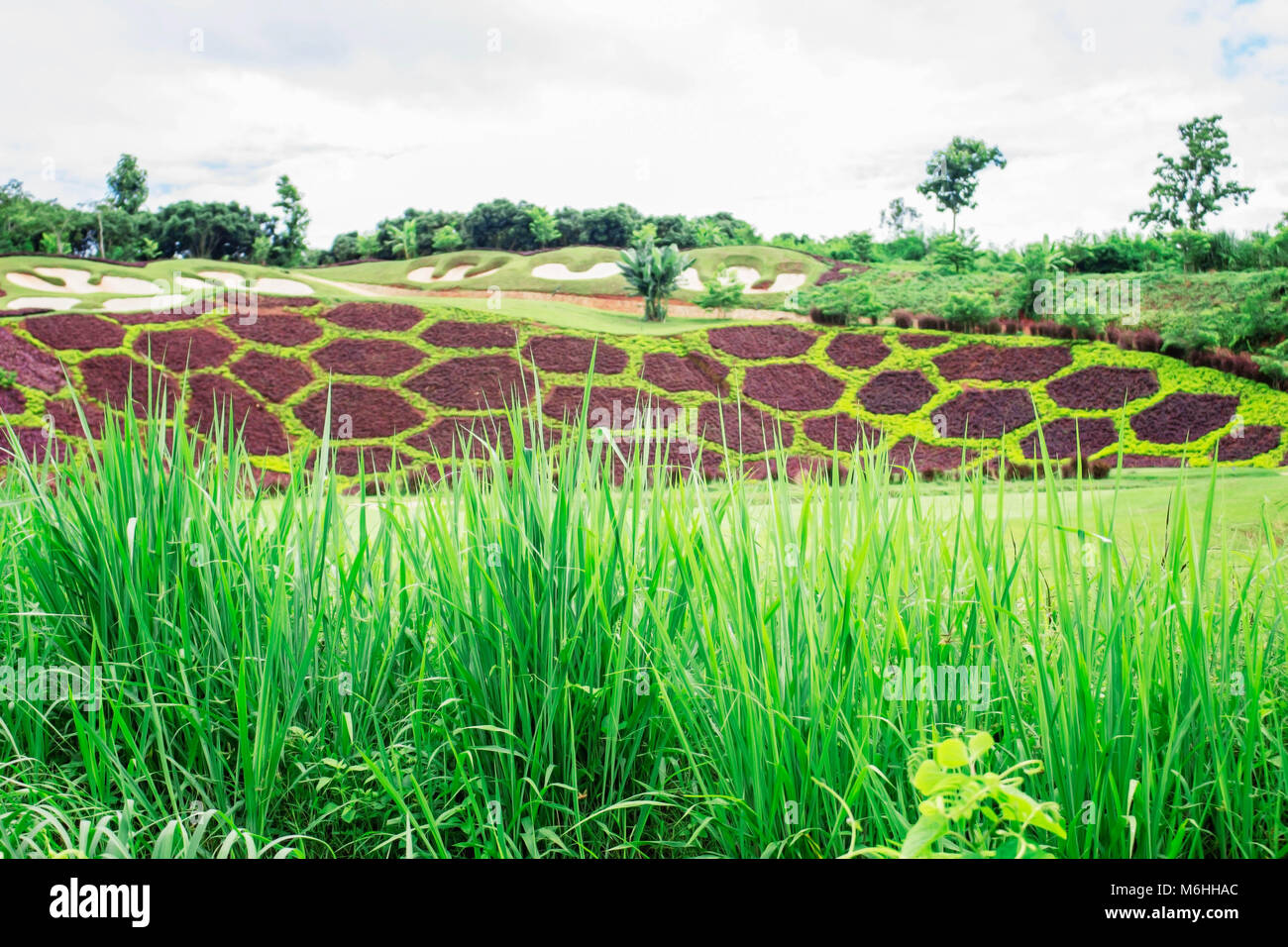 Botany course hi-res stock photography and images - Alamy