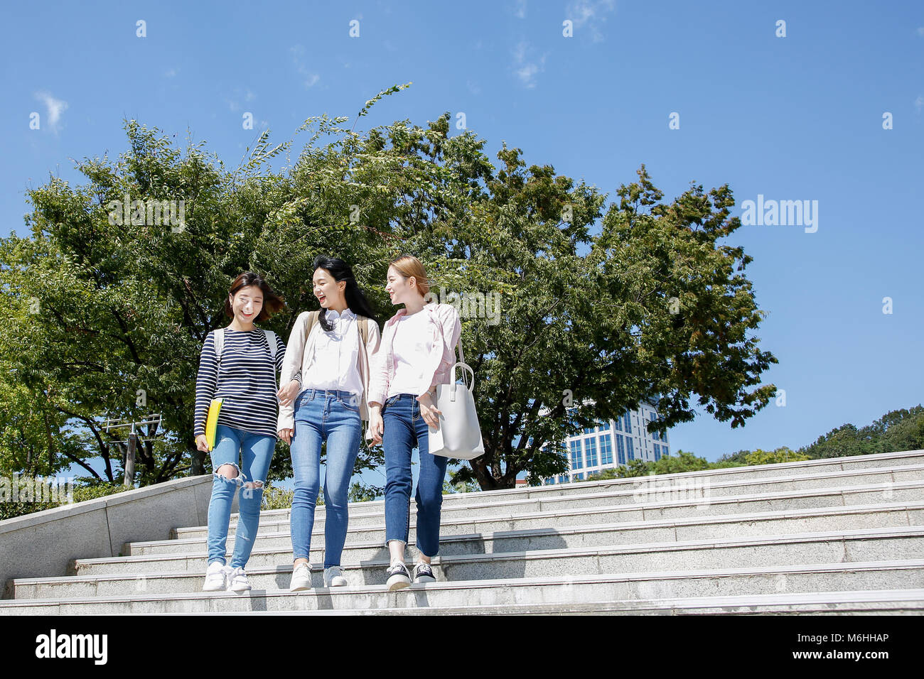 Campus life - freshmen enjoy theirs the campus life. young college ...