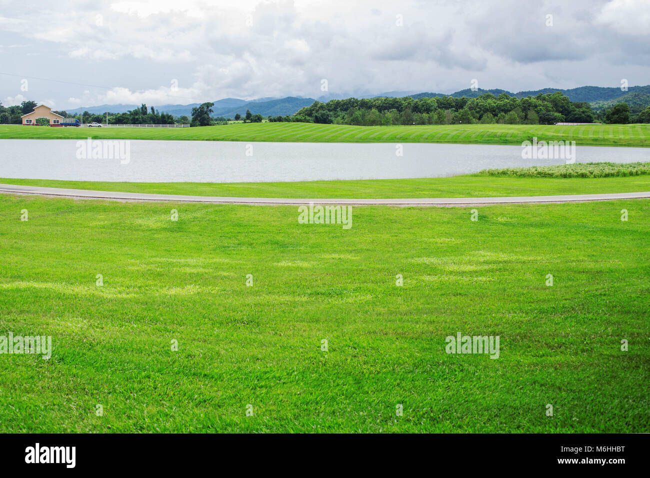 Lawn and pond with the sky background Stock Photo - Alamy