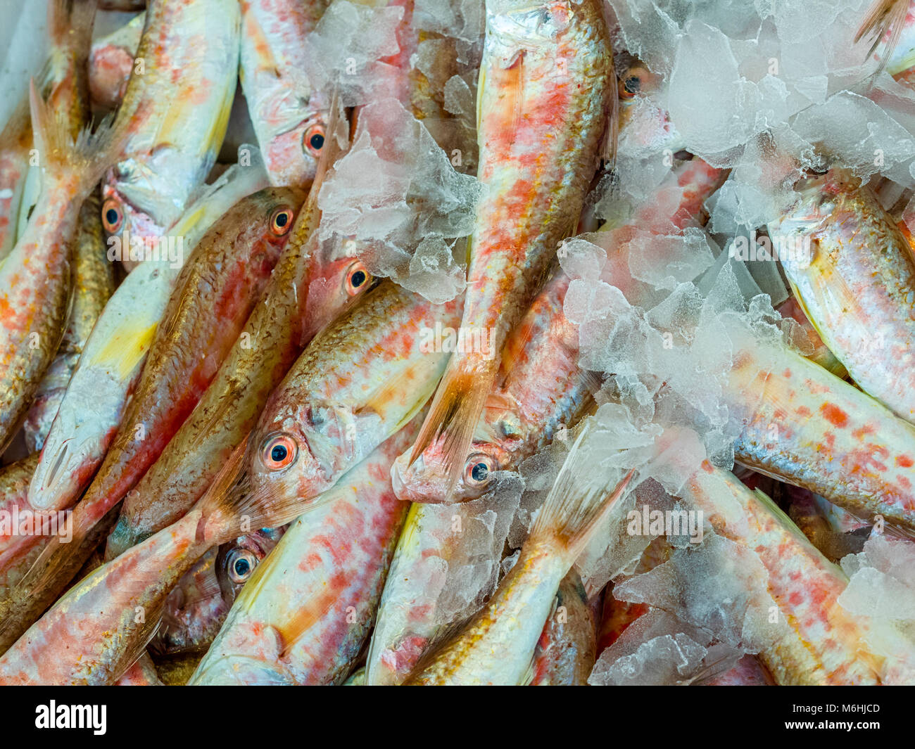 Fresh fish catch at market on the Island of Procida, Italy Stock Photo ...