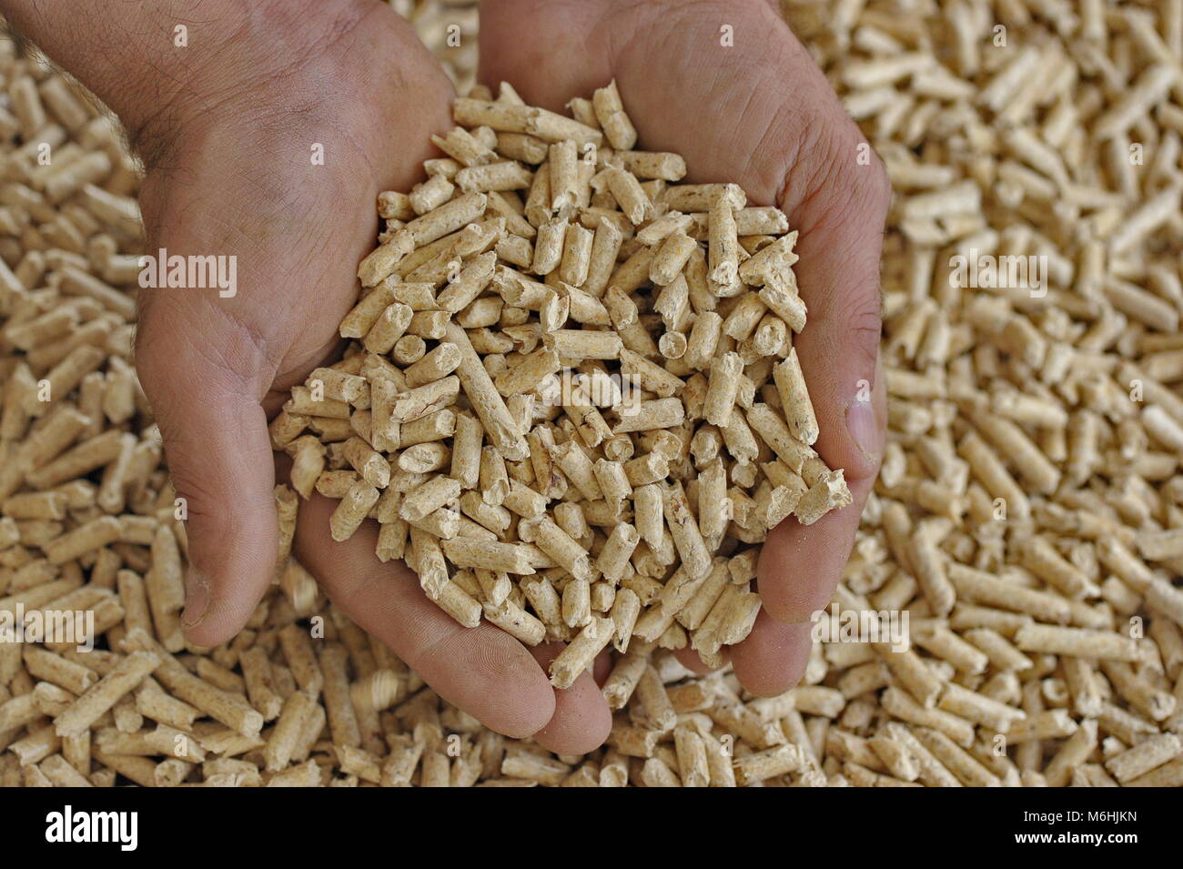 Fuel pellets 11 Stock Photo - Alamy