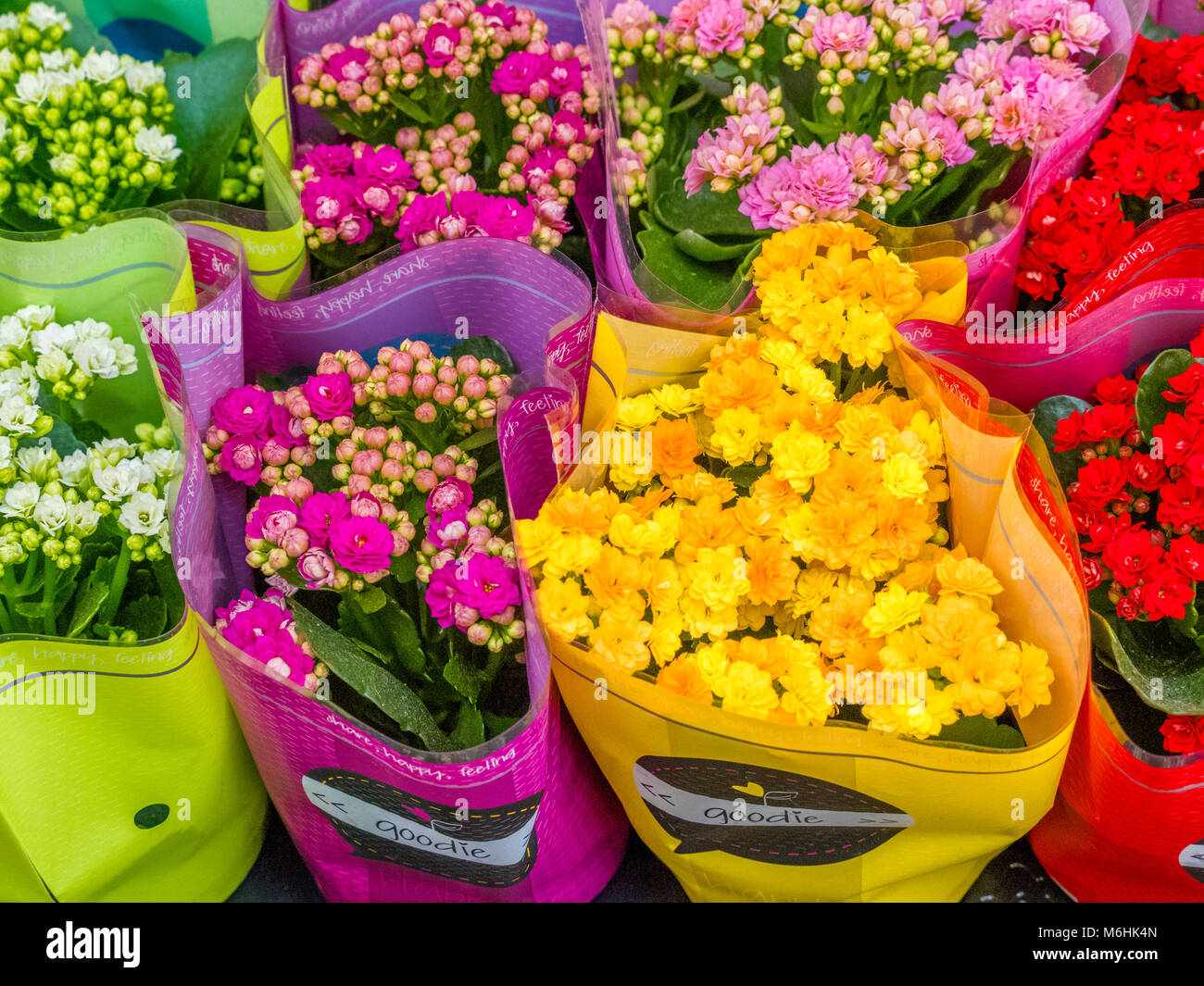 Flower market on the Island of Procida, Italy Stock Photo - Alamy