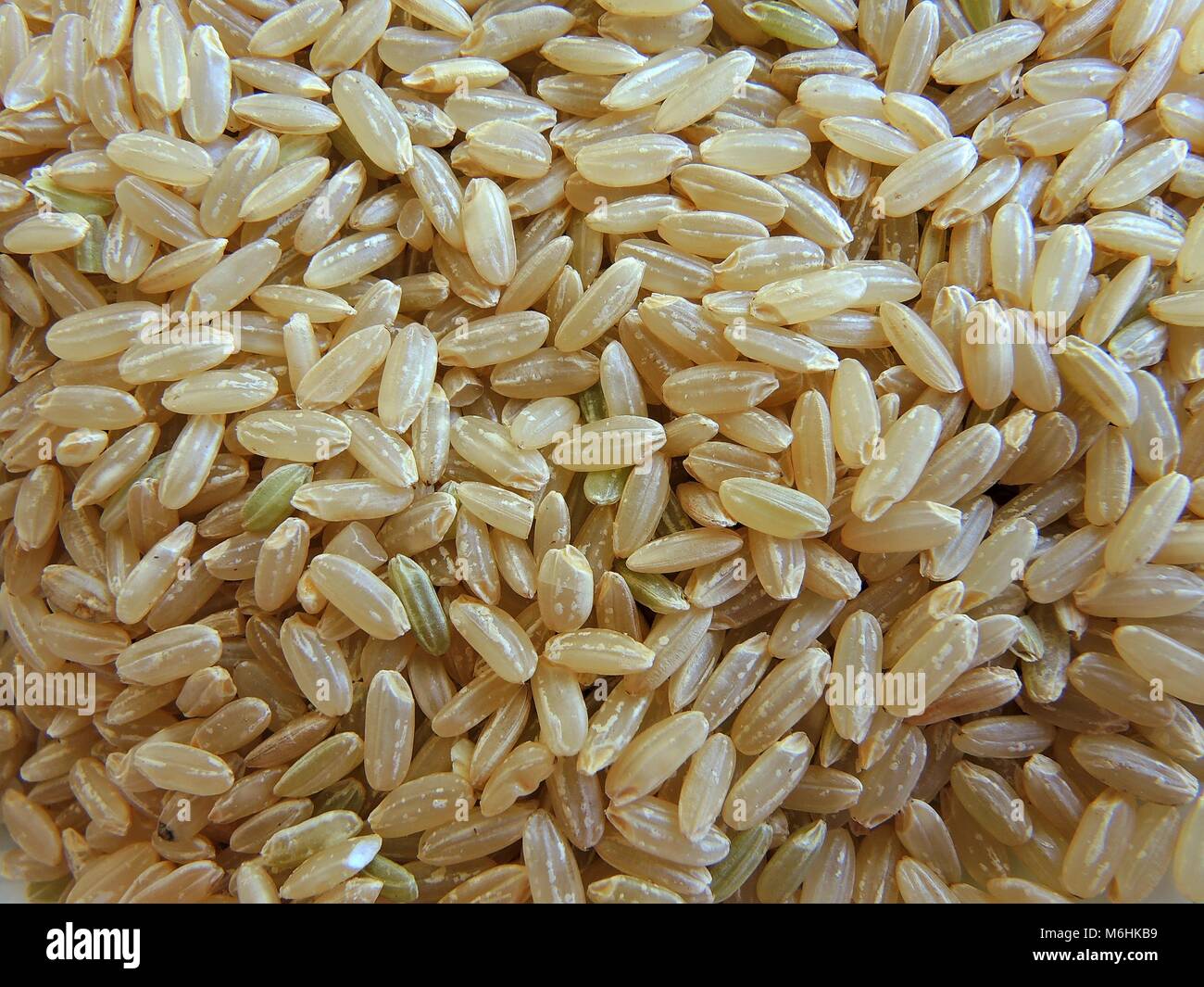 Rice panicle hi-res stock photography and images - Alamy