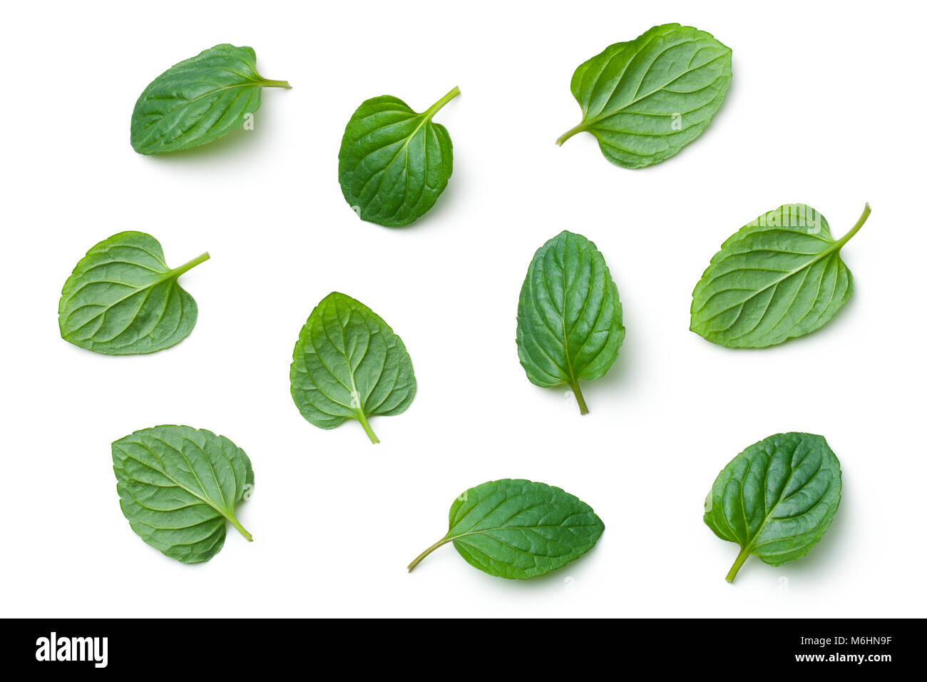 Fresh mint isolated on white background. Top view Stock Photo - Alamy