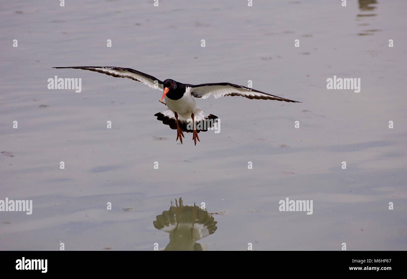 Land over water hi-res stock photography and images - Alamy