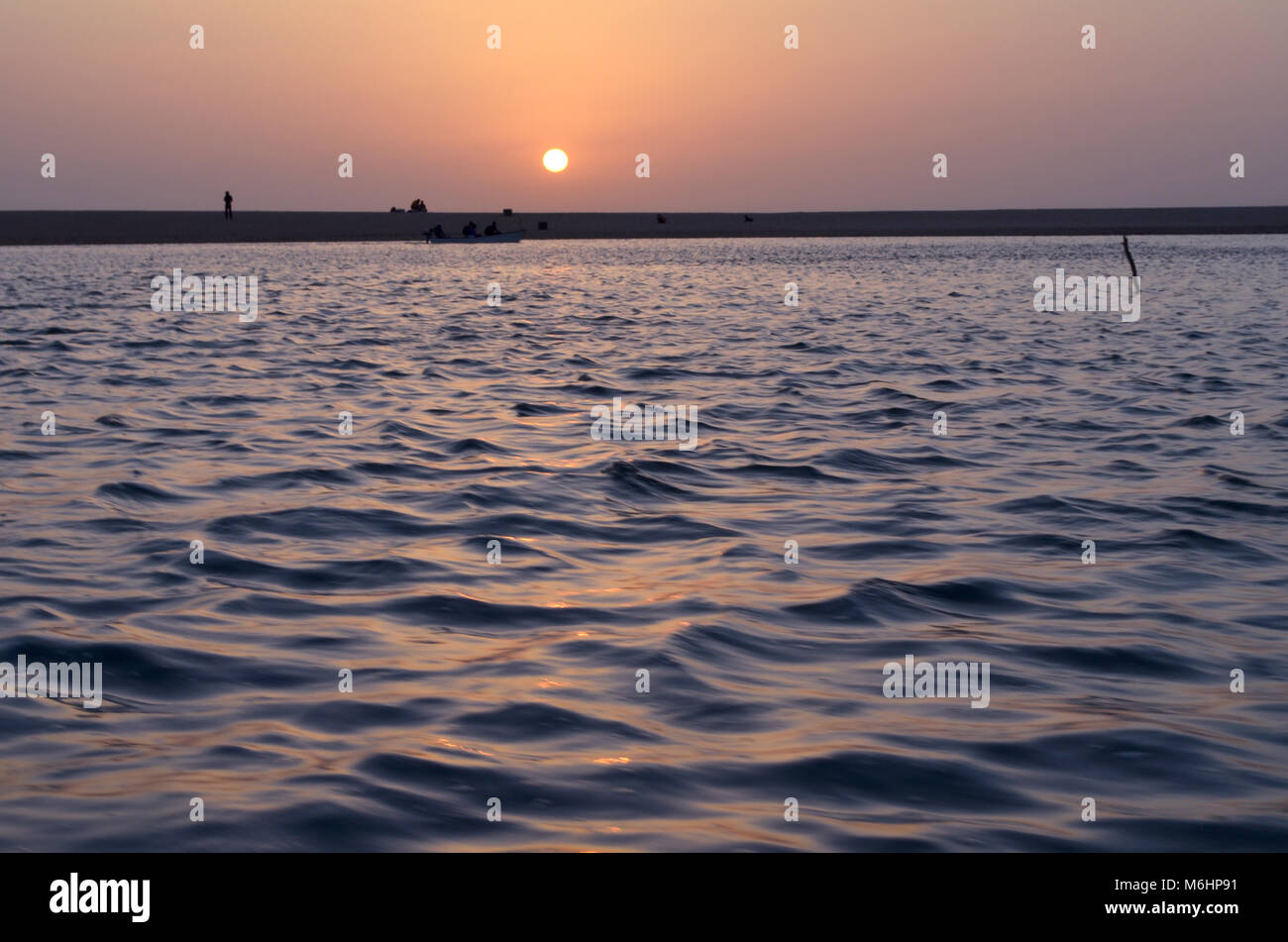 Mangrove forests in the Saloum river Delta area, Senegal, West Africa ...