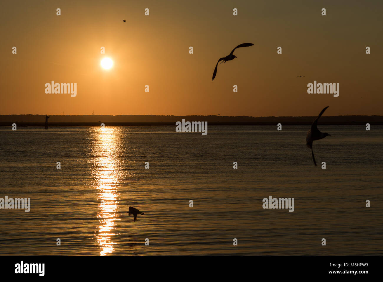 Sunset chincoteague hi-res stock photography and images - Alamy
