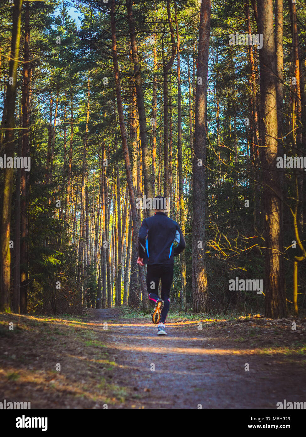 Man trail running in the forest. Morning jogging in the thicket of the ...