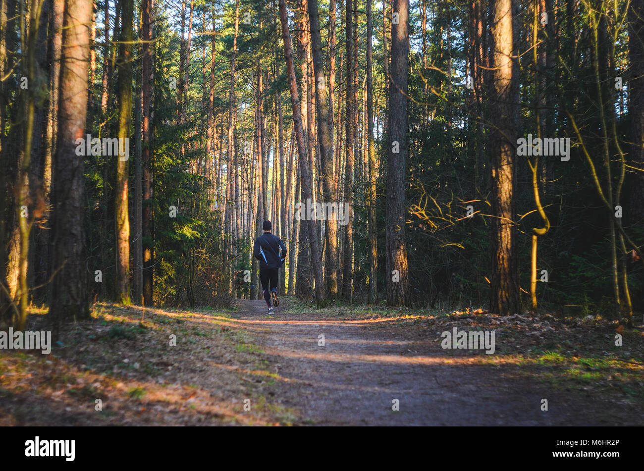 Man trail running in the forest. Morning jogging in the thicket of the ...