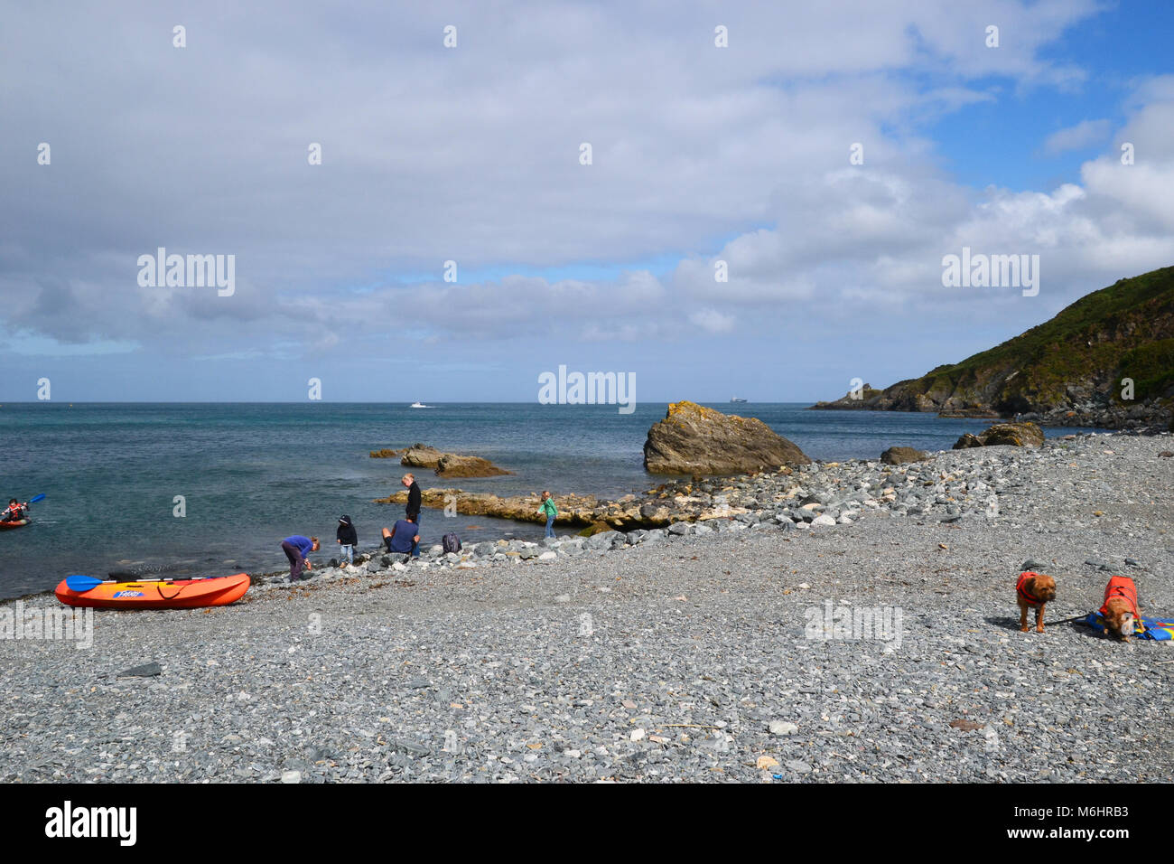 People and dogs on beaches hi-res stock photography and images - Alamy