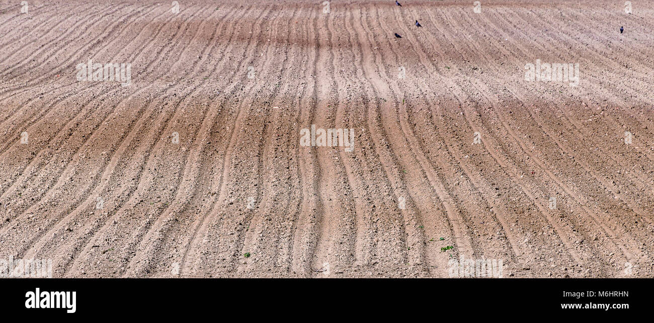 a plowed field in Lombardy countryside Stock Photo - Alamy