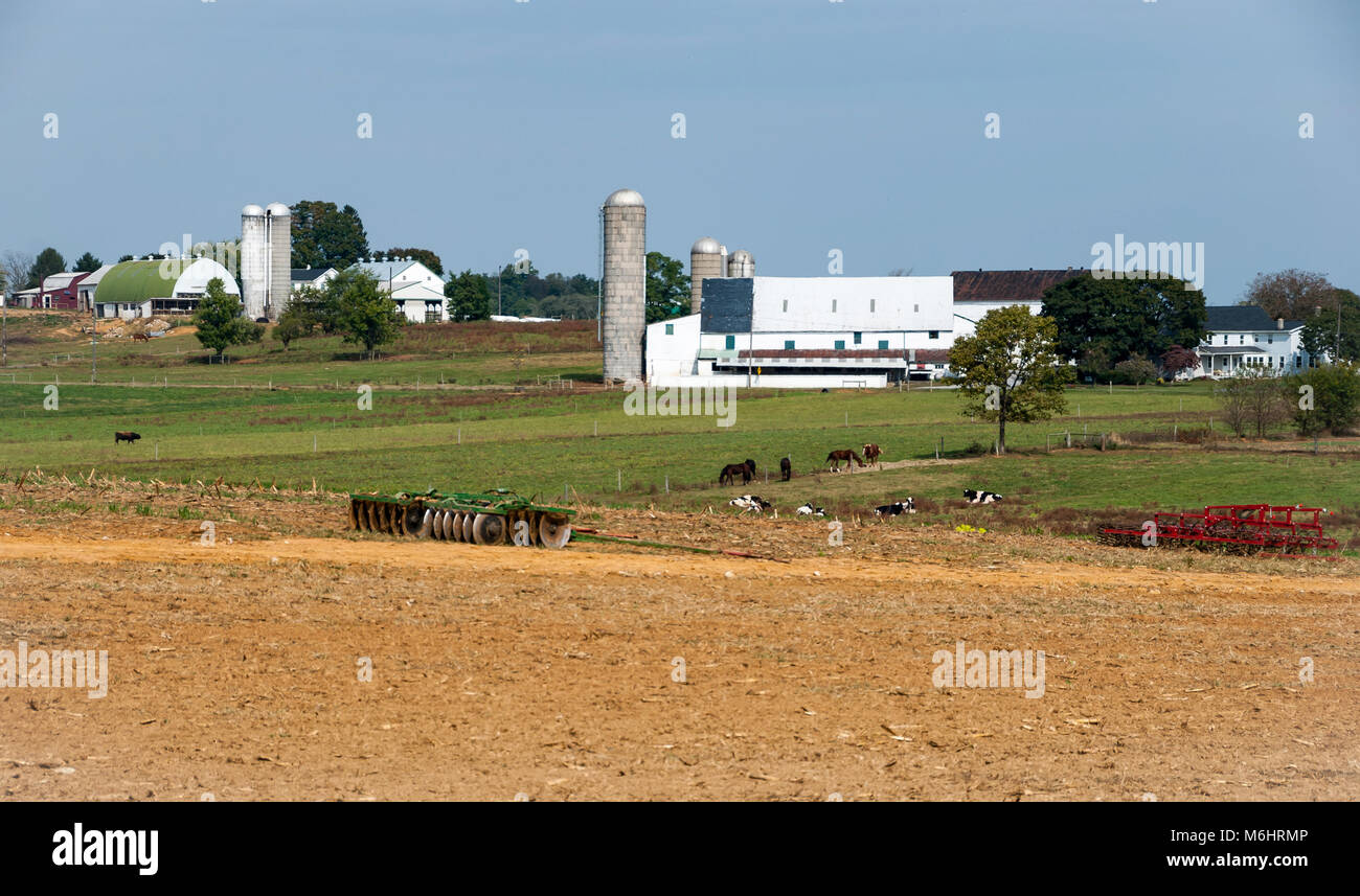 Amish Farm with Vintage Farm Equipment, in the Field, on Sunny Summer ...