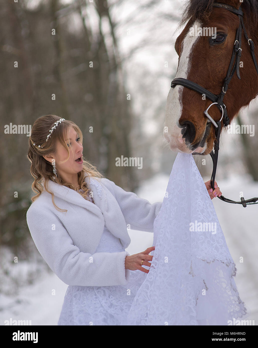 Beautiful bride communication with brown horse Stock Photo - Alamy