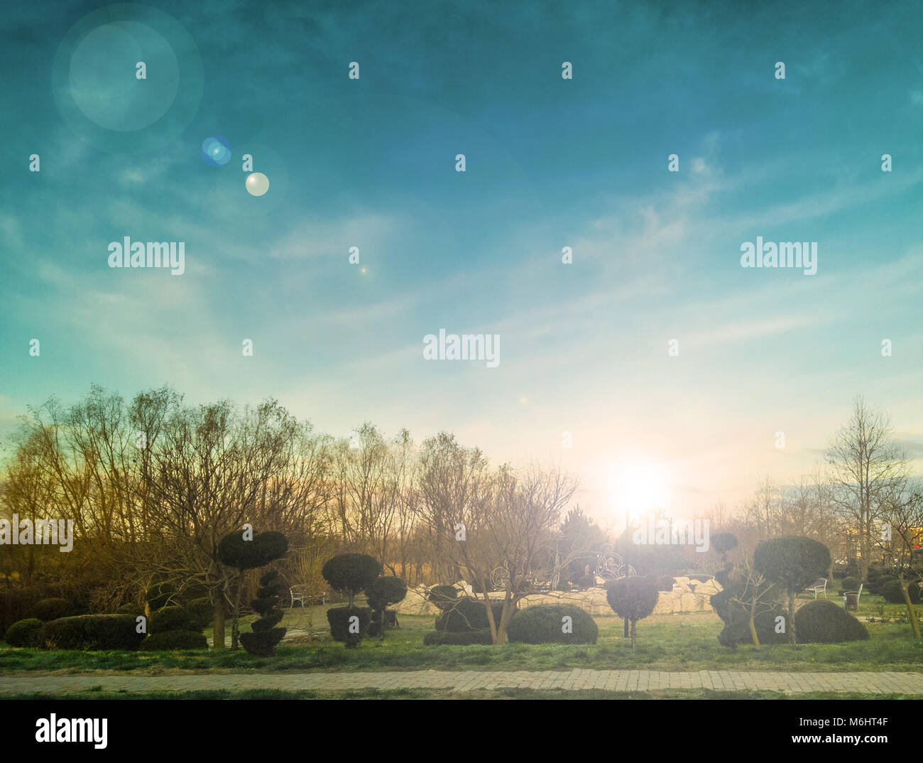 Bonsai park hi-res stock photography and images - Alamy