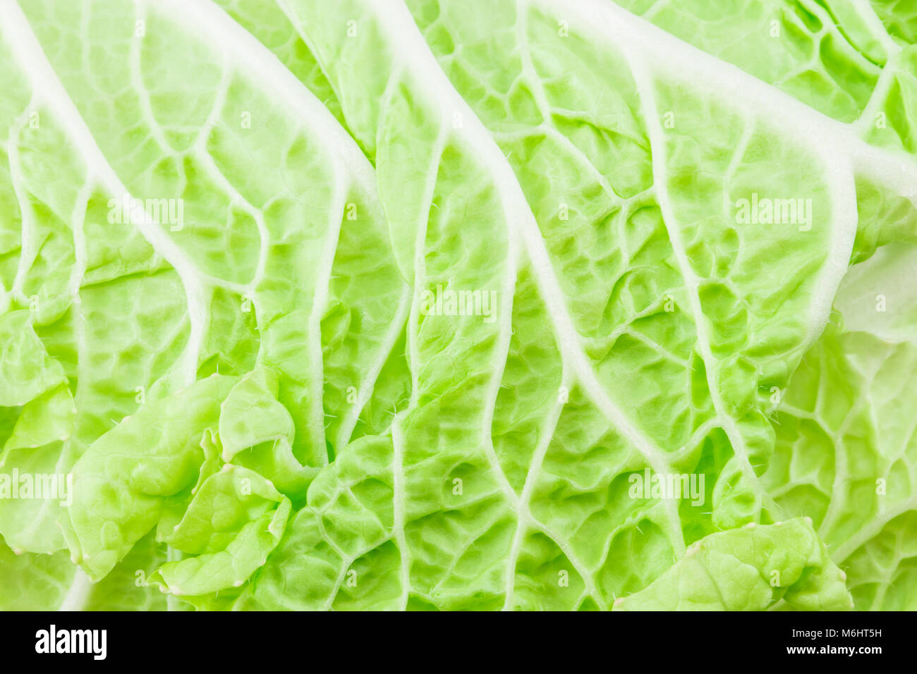 Cabbage detail with leaves texture. With clipping path Stock Photo - Alamy