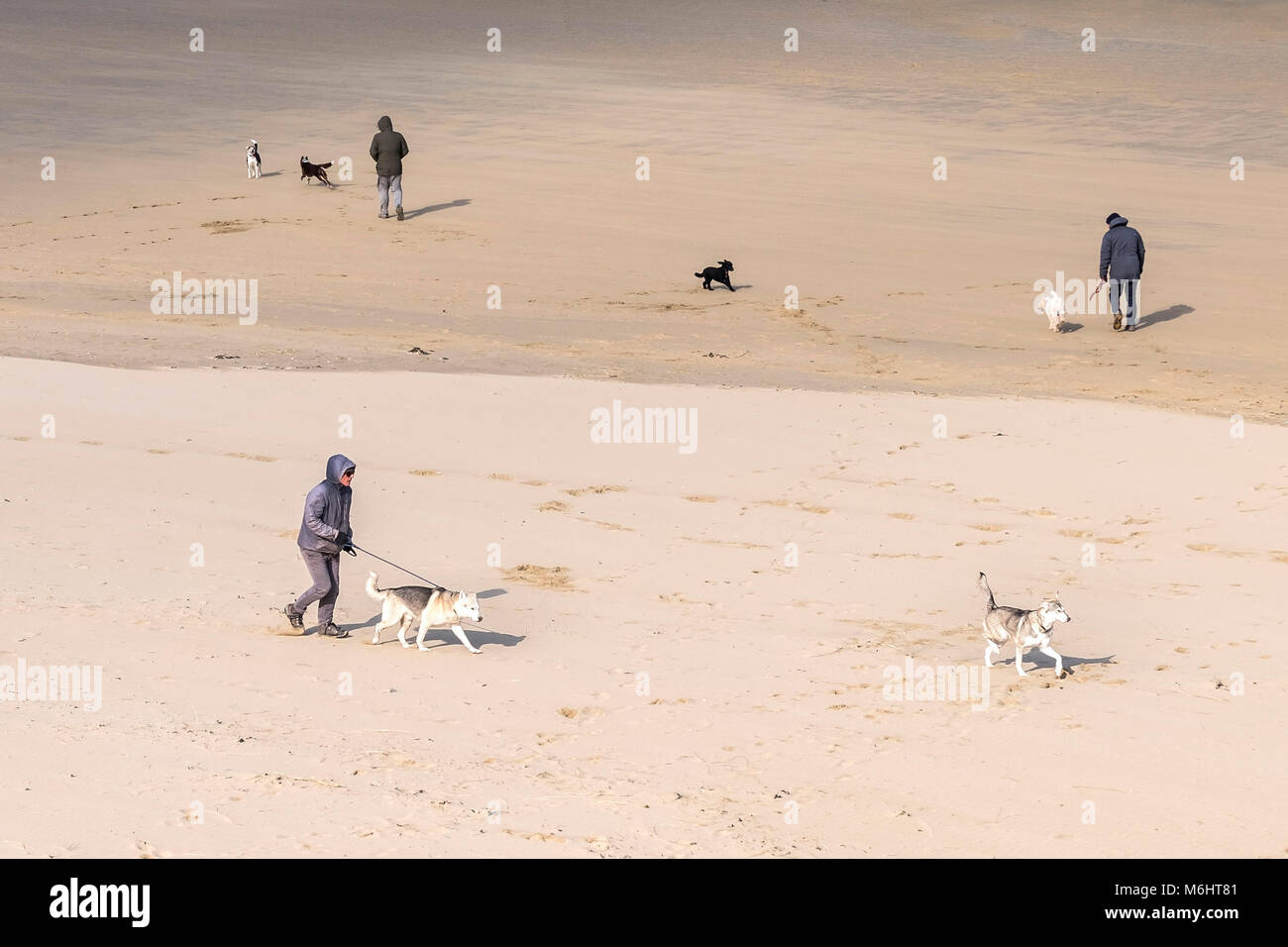 Dog owners on a beach hi-res stock photography and images - Alamy