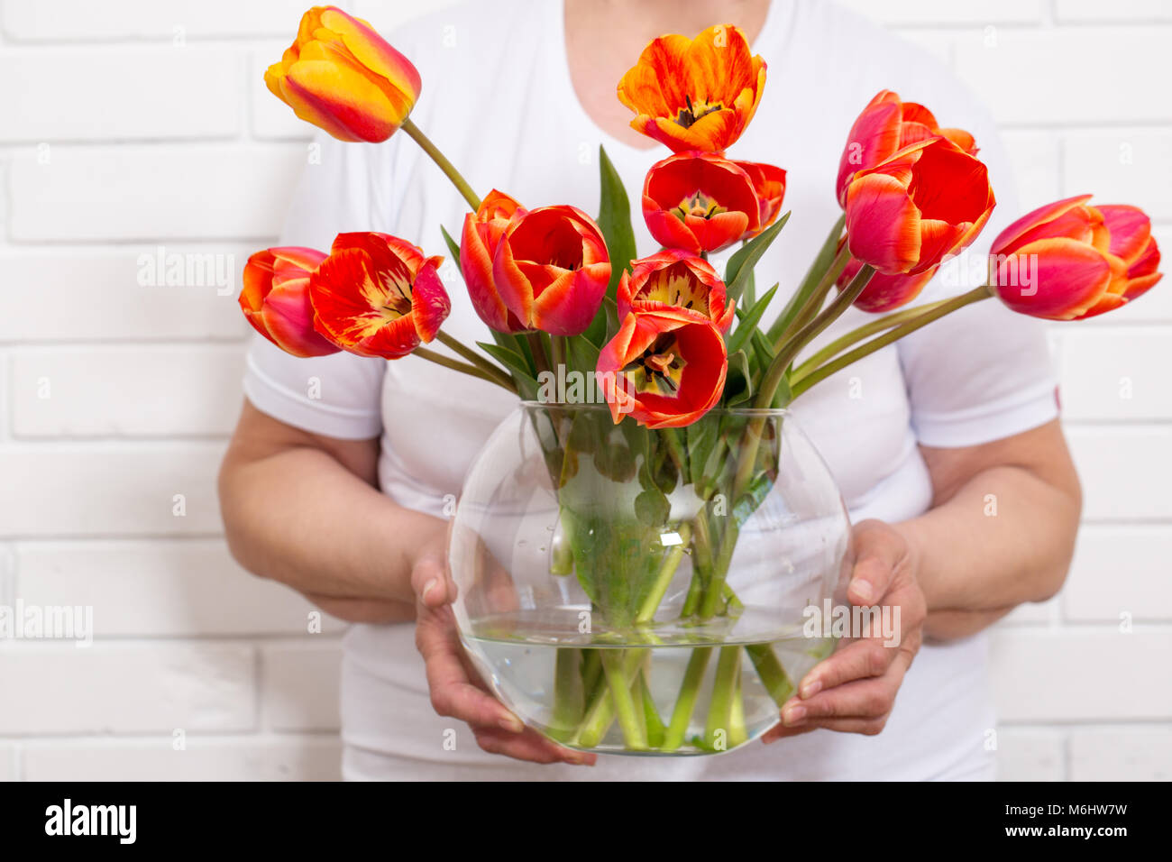 Female hands hold a large vase Stock Photo - Alamy