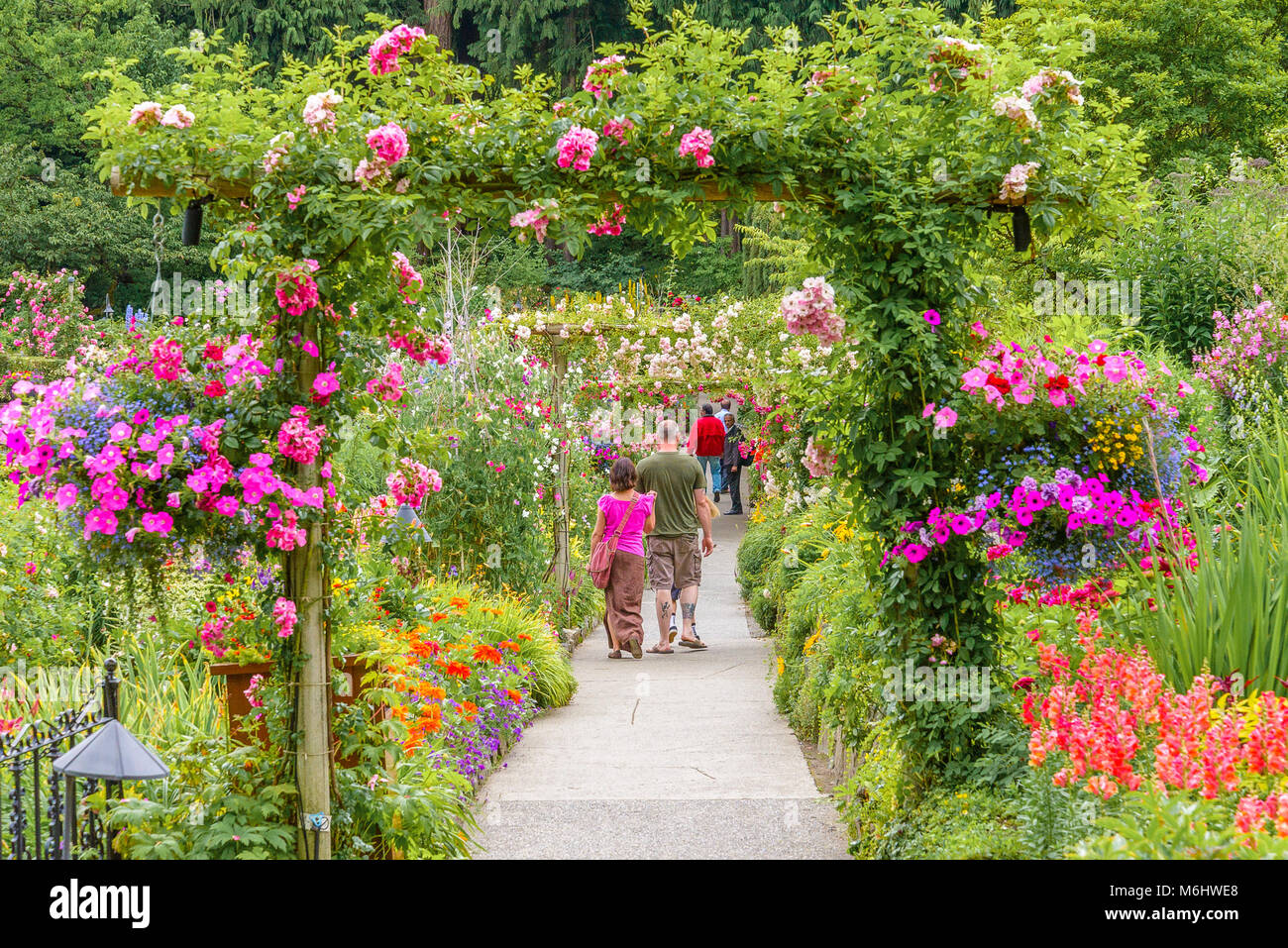 Rose arbour hi-res stock photography and images - Alamy