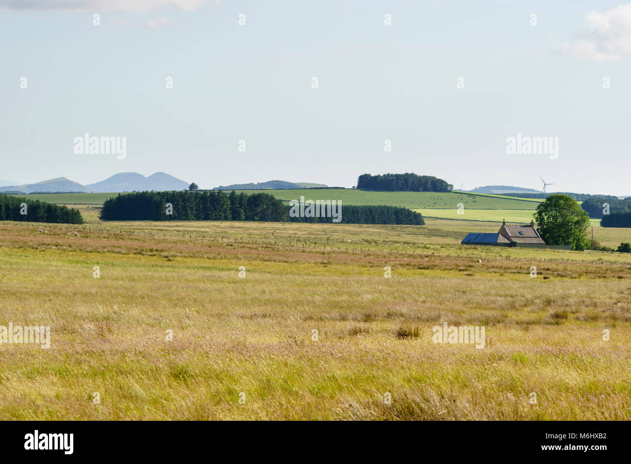 Scotland - the farmlands of the Merse at Westruther in Berwickshire ...