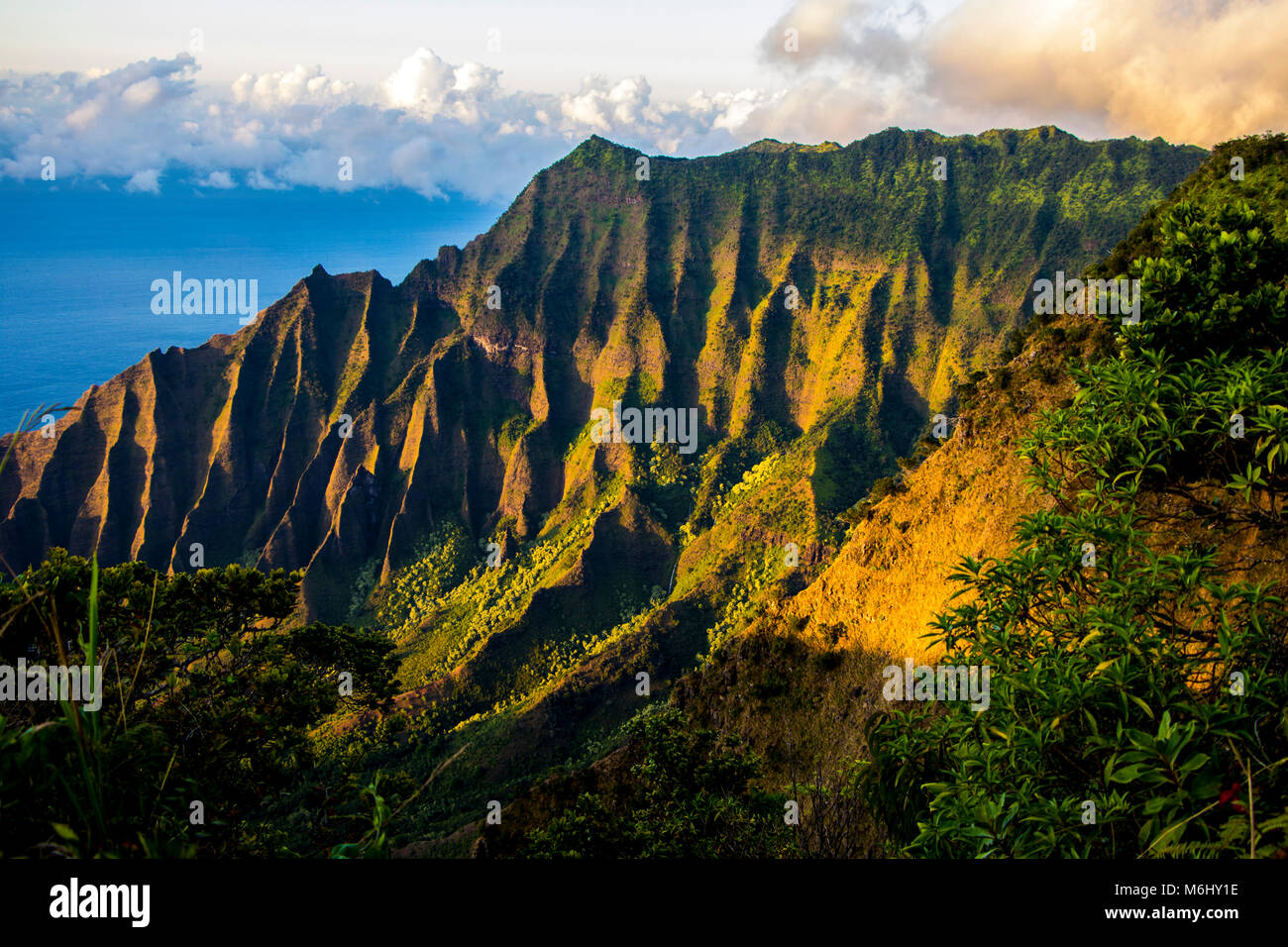 Kokee State Park Mountain Side Stock Photo - Alamy