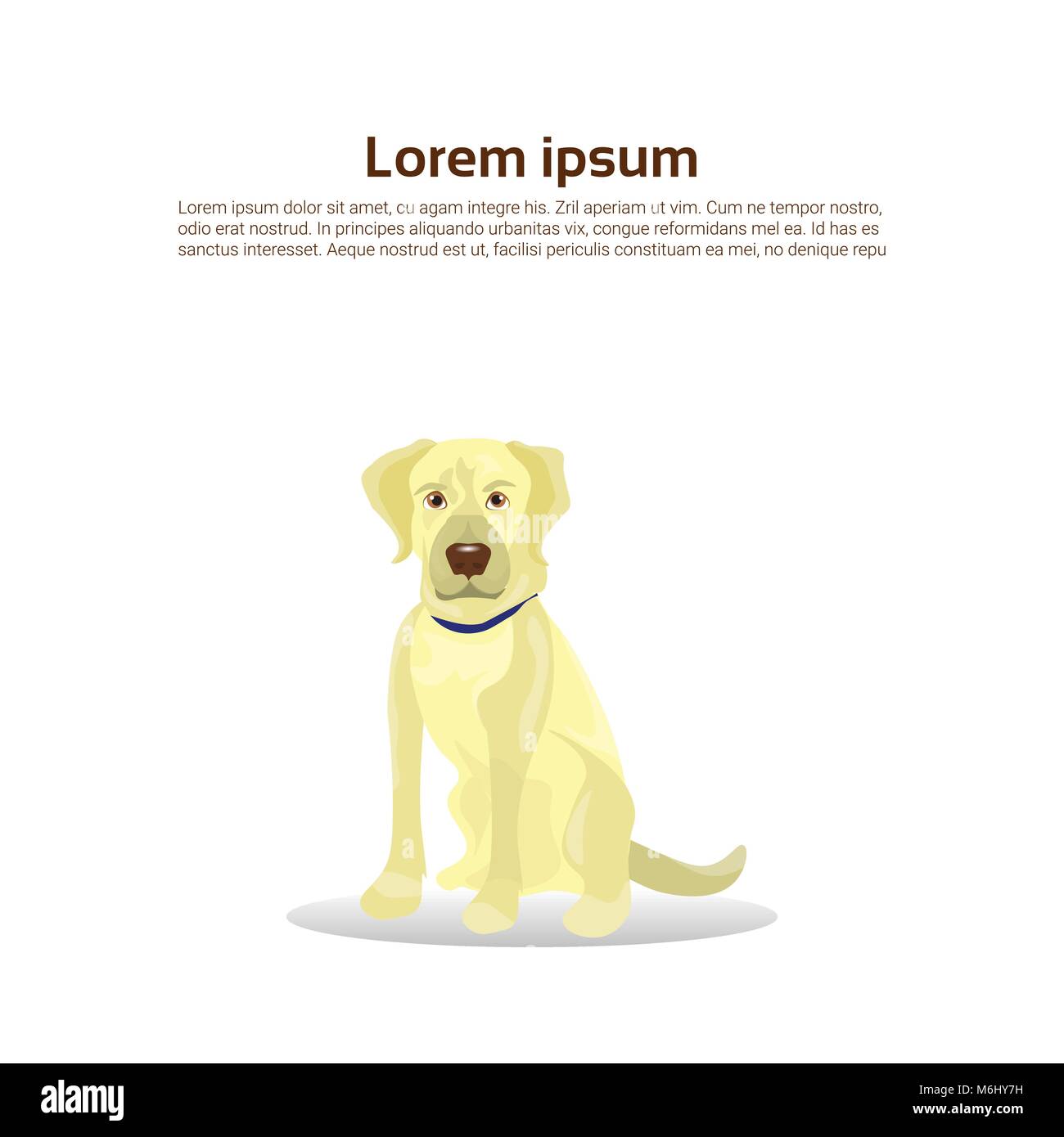 Yellow Lab Dog Clipart No Background