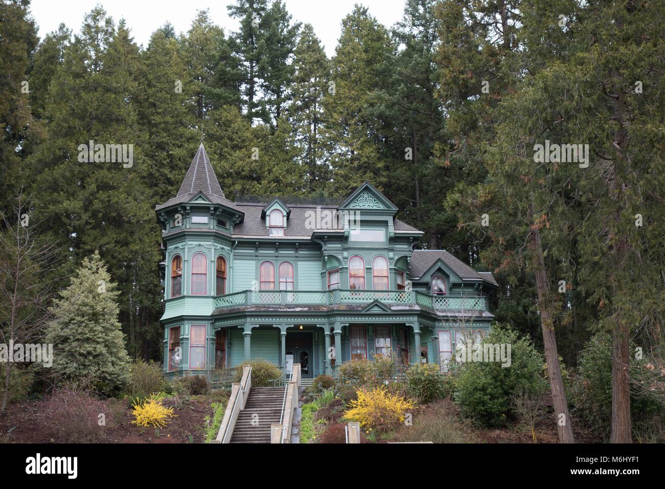 Mcmurphy hi-res stock photography and images - Alamy