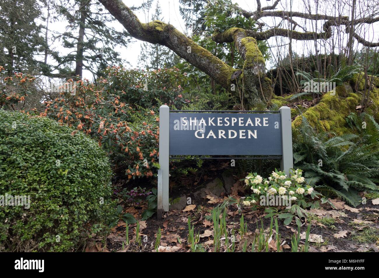 The Shakespeare Garden, at the International Rose Test Garden in ...