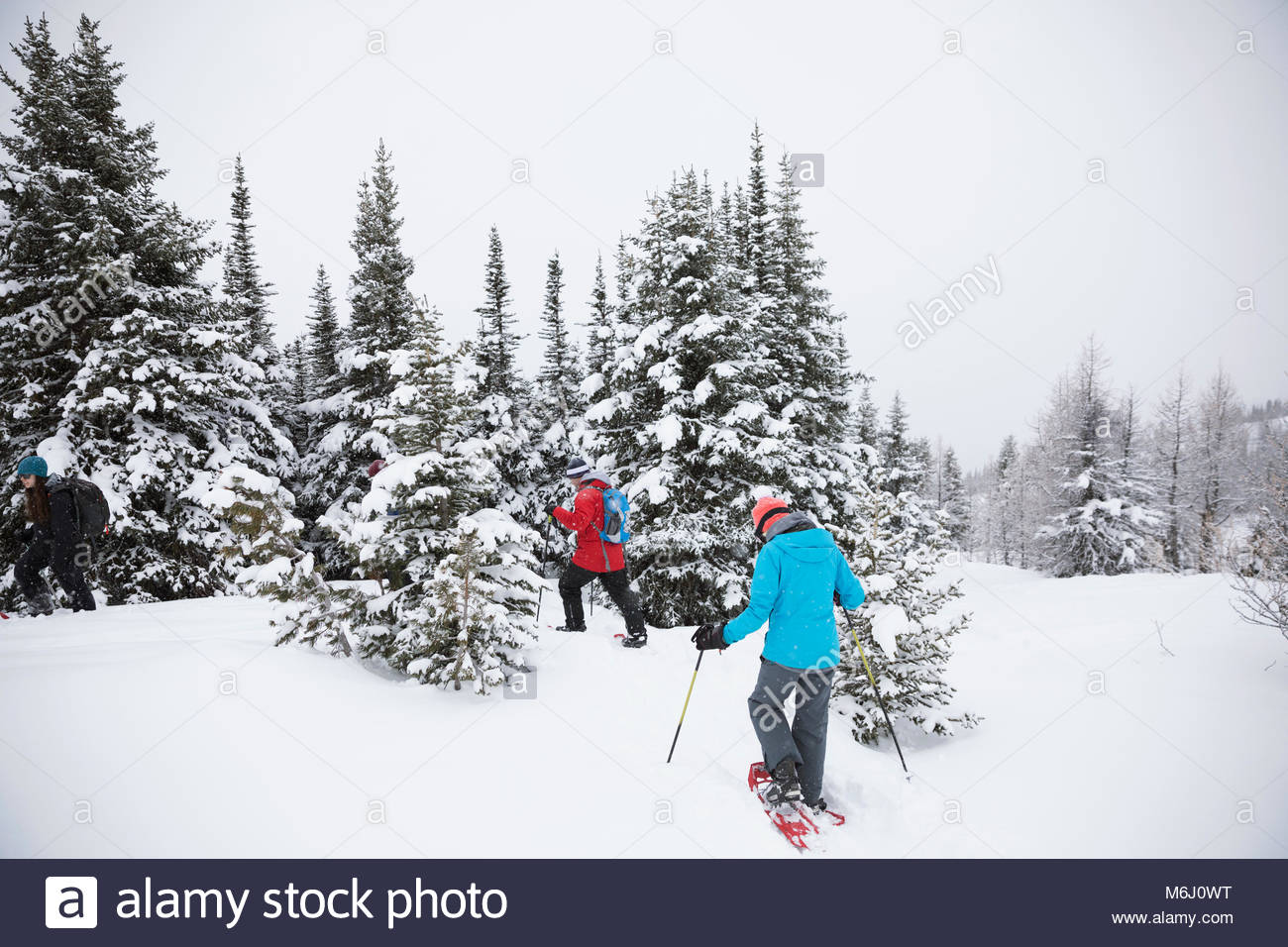 Couple snowshoeing in remote snow Stock Photo - Alamy