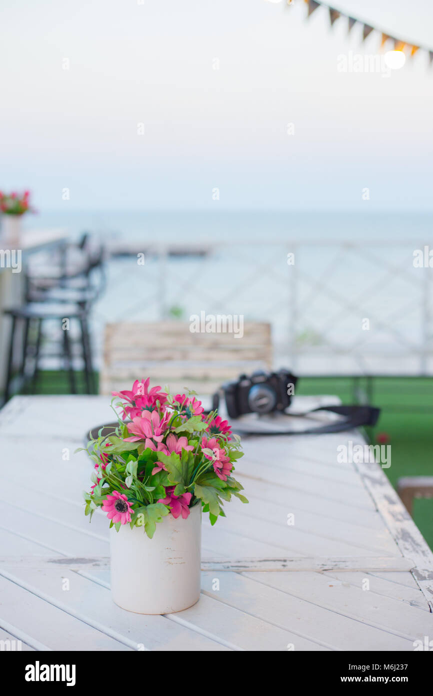 Colorful daisy in white hi-res stock photography and images - Alamy