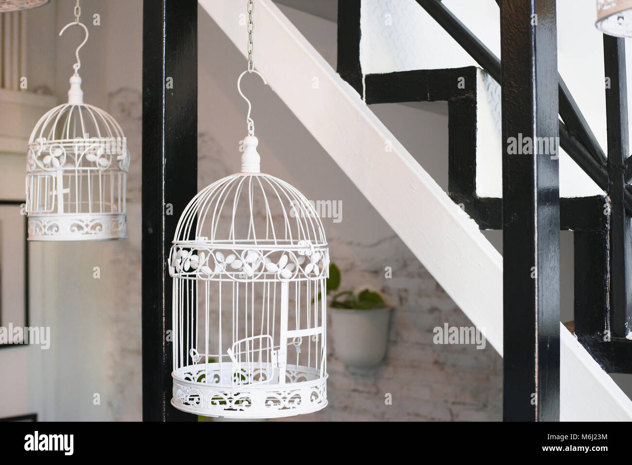 White cages hanging in room , decoration vintage style Stock Photo - Alamy