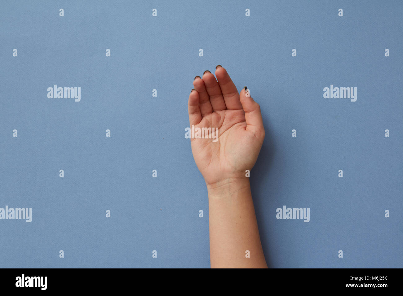 Female hand presenting blue hi-res stock photography and images - Alamy