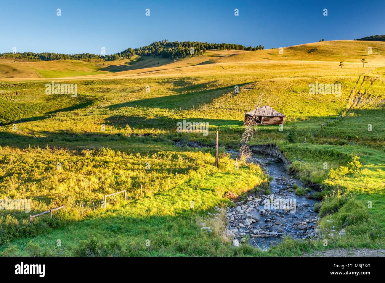 Old cabin at West Sharples Creek in Porcupine Hills, Alberta, Canada ...