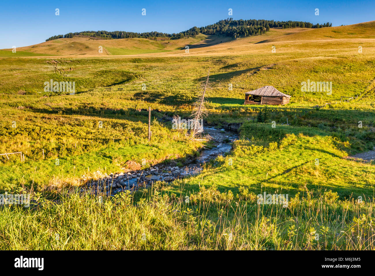 Old cabin at West Sharples Creek in Porcupine Hills, Alberta, Canada ...