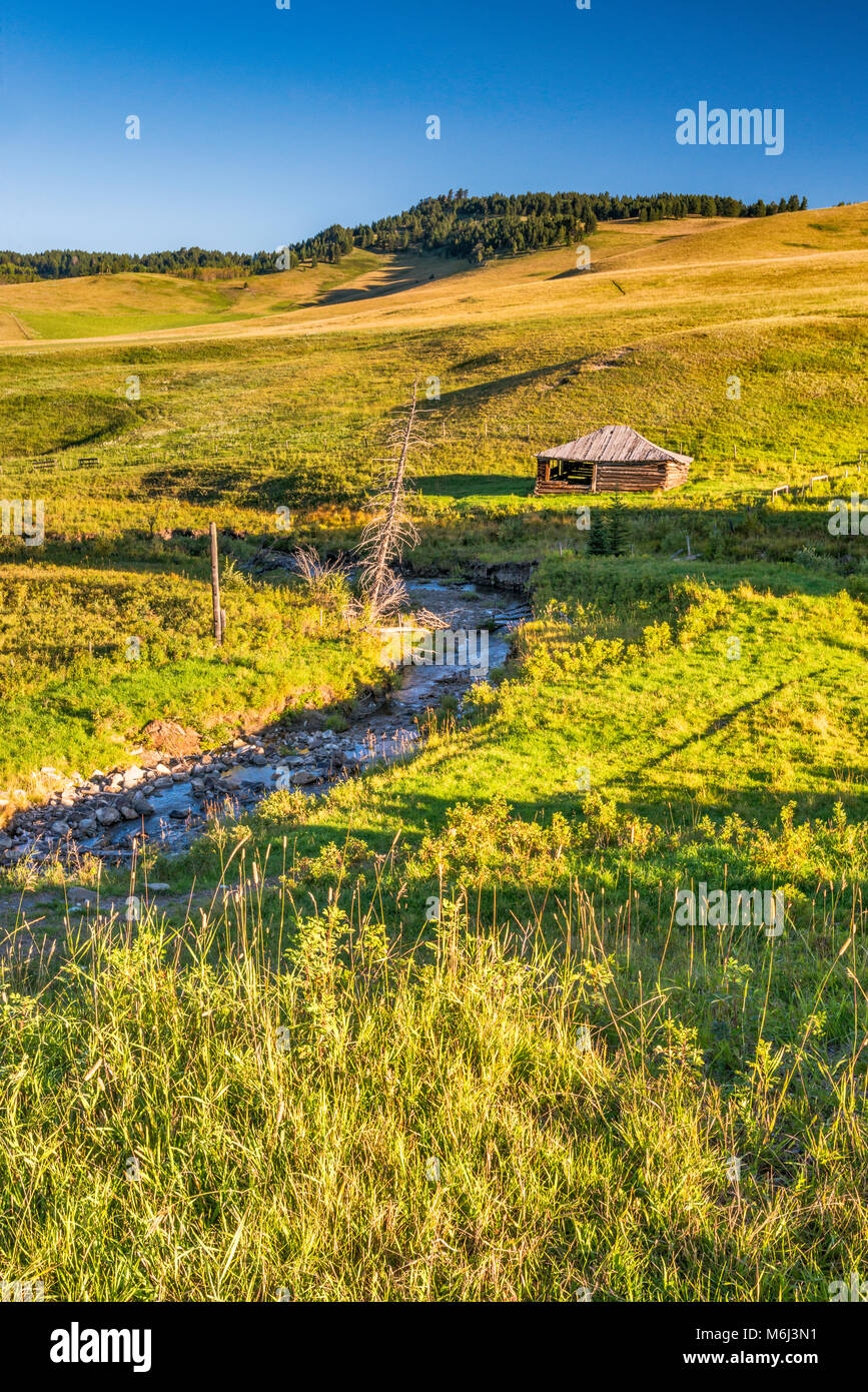 Old cabin at West Sharples Creek in Porcupine Hills, Alberta, Canada ...