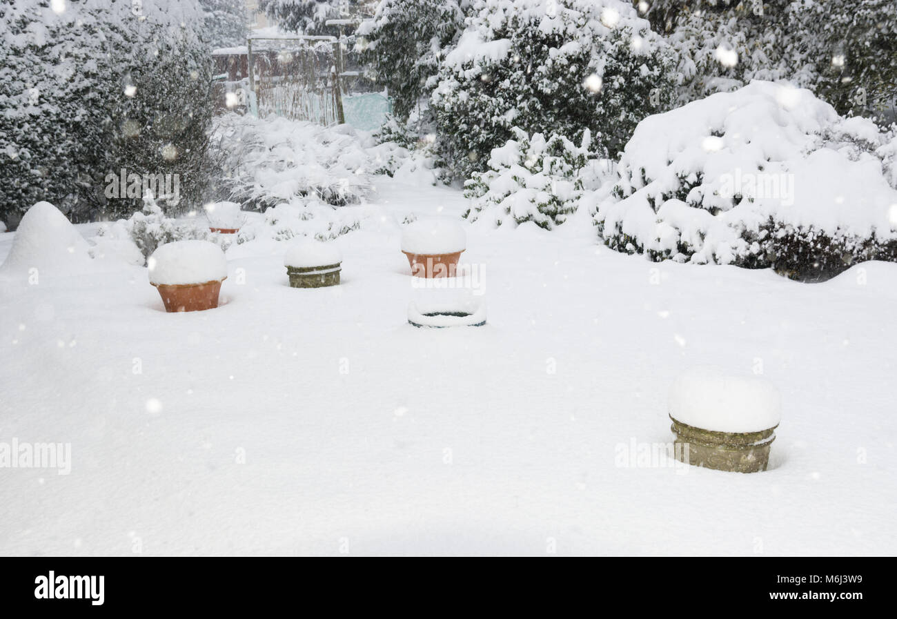 Snow on garden flower hi-res stock photography and images - Alamy