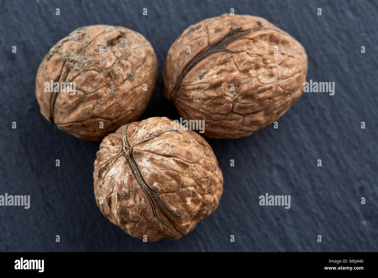 A stack of hard shells of walnuts piled together on light grey fabric ...