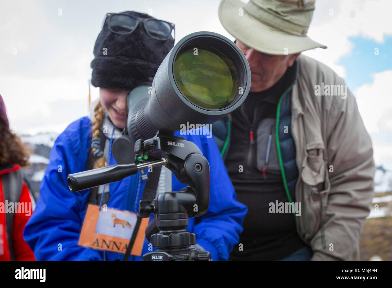 Yellowstone and lamar valley and wolf hi-res stock photography and ...