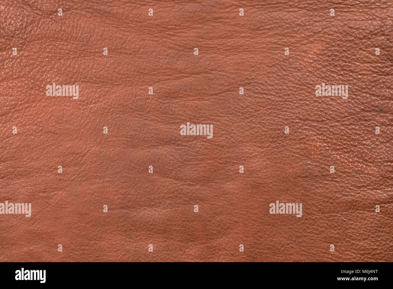 Coarsely granular texture brown natural leather. Brown leather, texture ...
